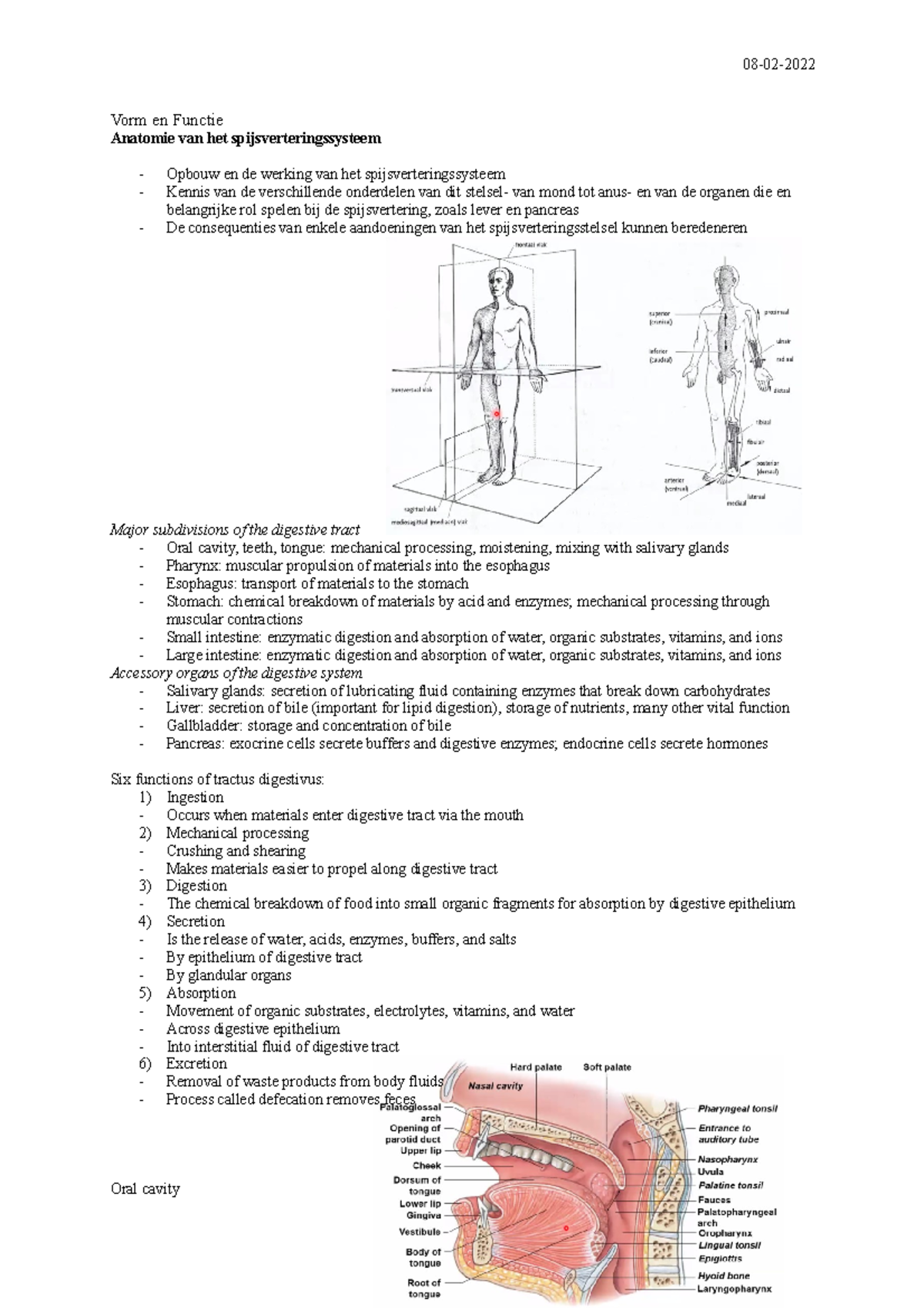 HC 2 - College-aantekeningen 2; anatomie van het spijsverteringsstelsel ...