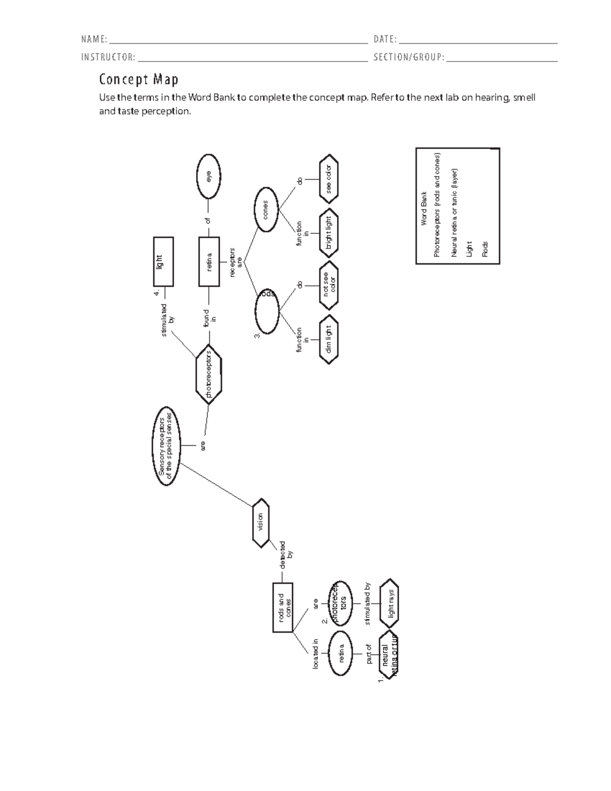 Laboratory 20 - Concept Map comp - N A M E : D AT E : I N S T R U C TO ...