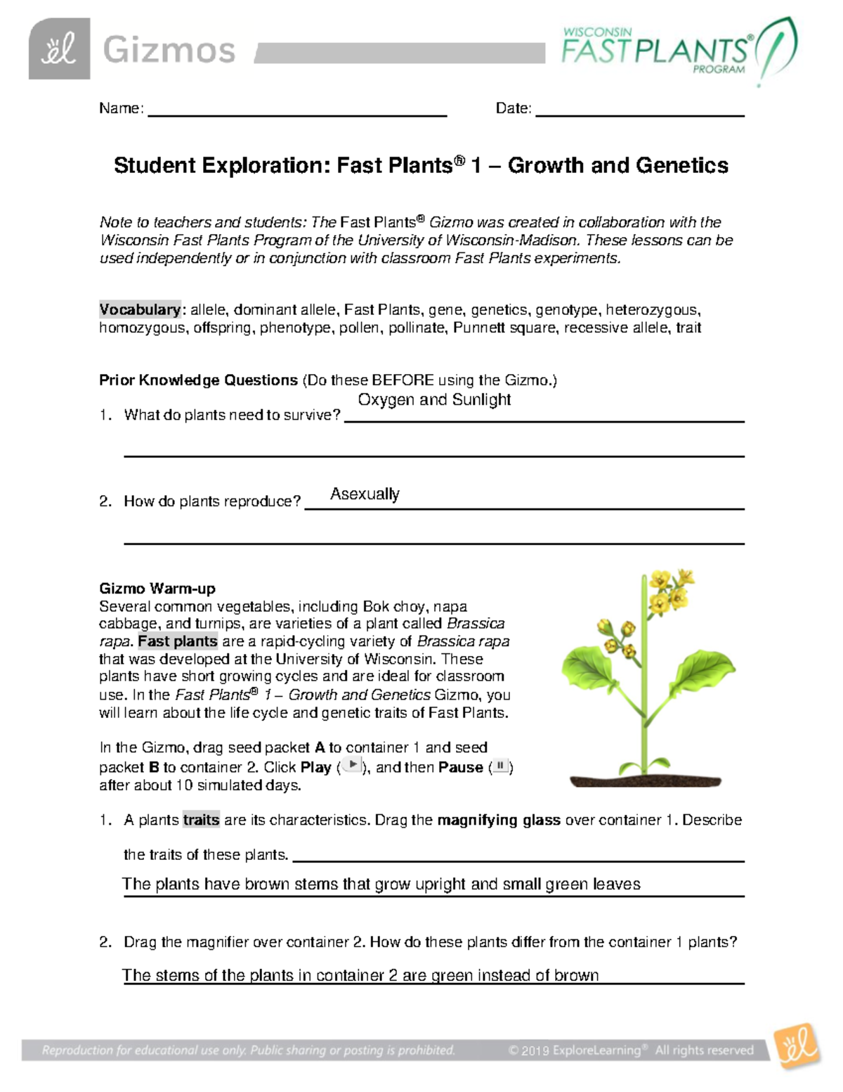 Fast Plants 1SE - Name: Date: Student Exploration: Fast Plants® 1 ...