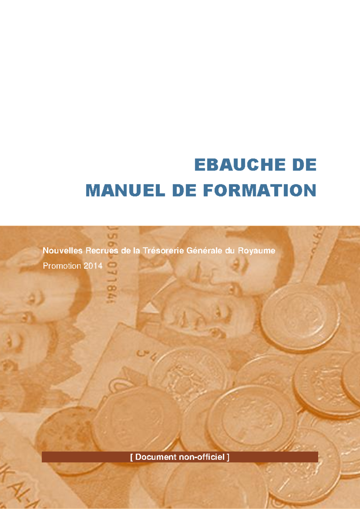 Ebauche d'un Manuel de Formation - EBAUCHE DE MANUEL DE FORMATION ...