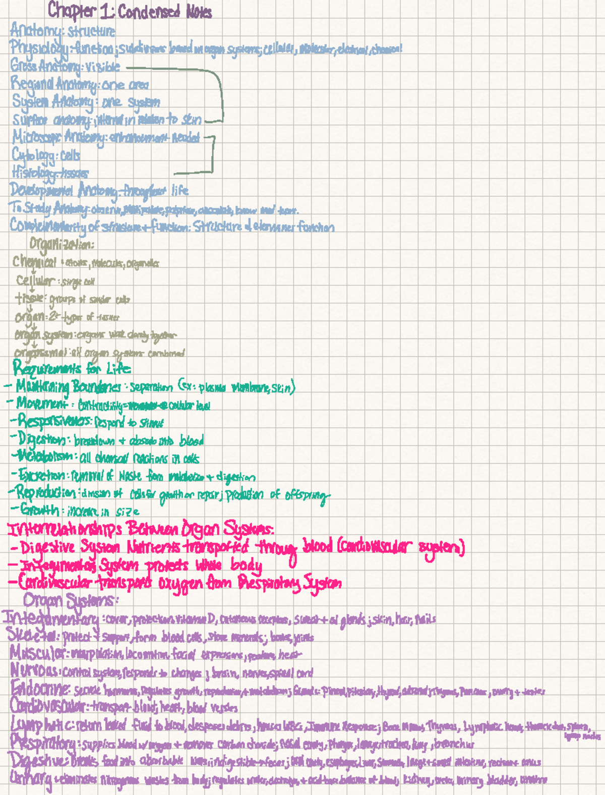 Chapter One Notes - Chapter 1 condensed Notes Anatomystructure ...