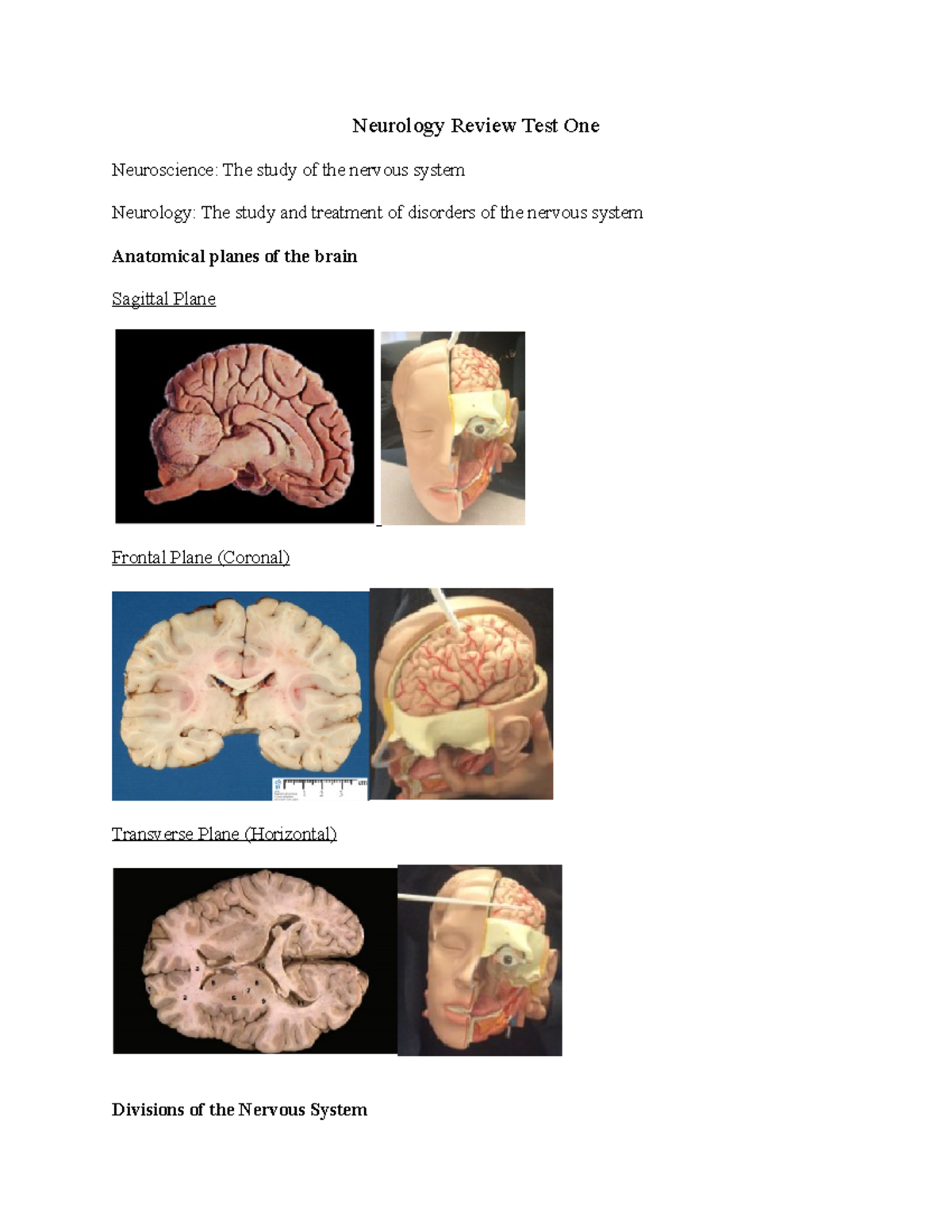 Neurology Review Test One - Neurology Review Test One Neuroscience: The ...
