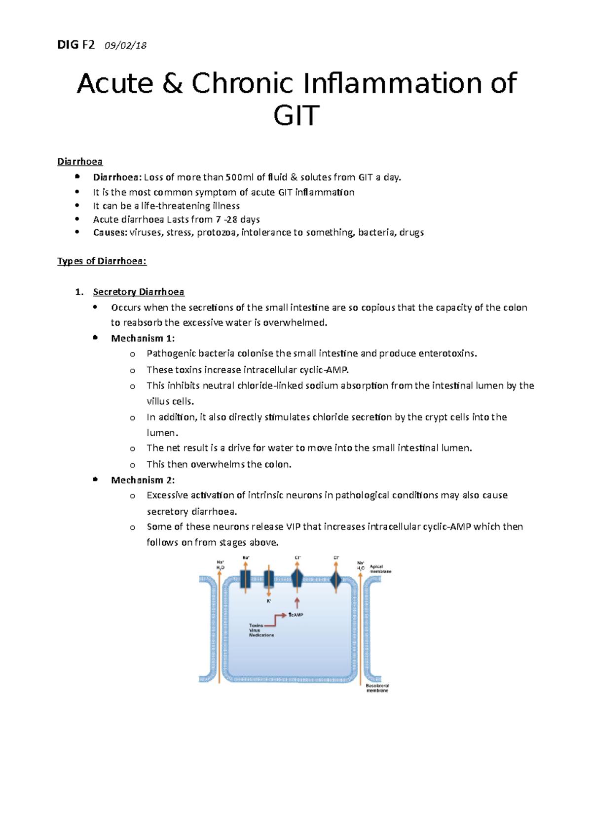 L11 Acute & Chronic Inflammation of GIT - Acute & Chronic Inflammation ...