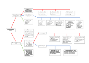 Reaction Paper FDAR VID - BS Nursing - Studocu