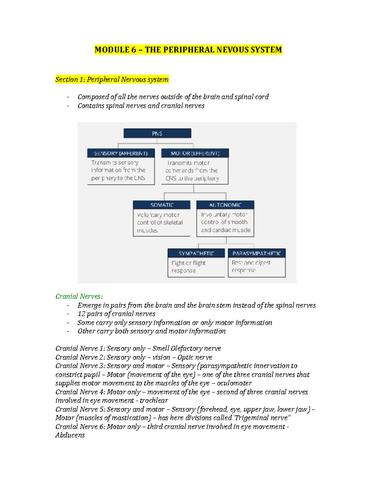 Module 6 THE Peripheral Nevous System - MODULE 6 – THE PERIPHERAL ...