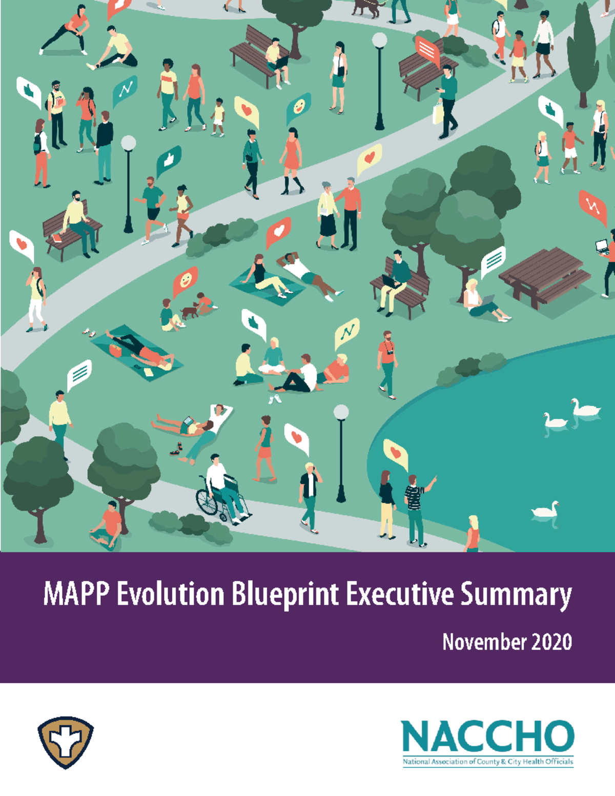 MAPP Evolution Blueprint Executive Summary V3 Final - MAPP Evolution ...
