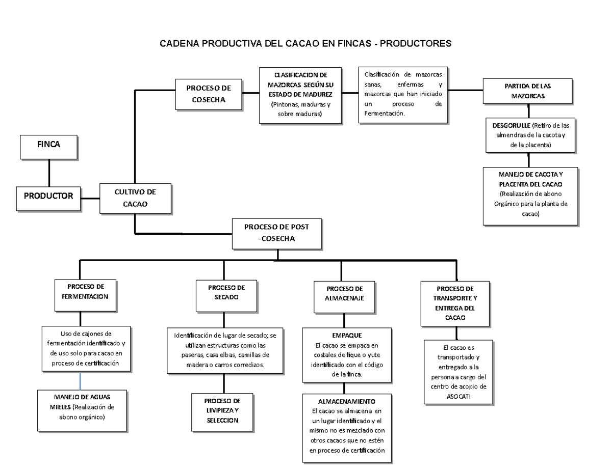 Cadena Productiva Cacao- Productores - CADENA PRODUCTIVA DEL CACAO EN ...