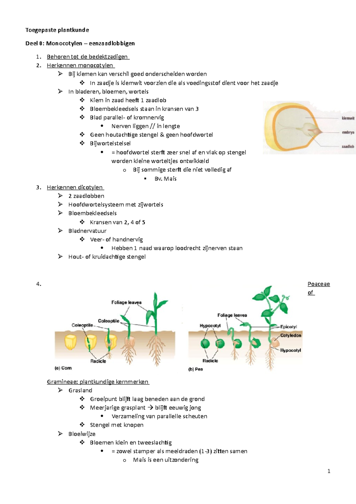Deel I en II Morfologie en anatomie - Toegepaste plantkunde Deel 0 ...