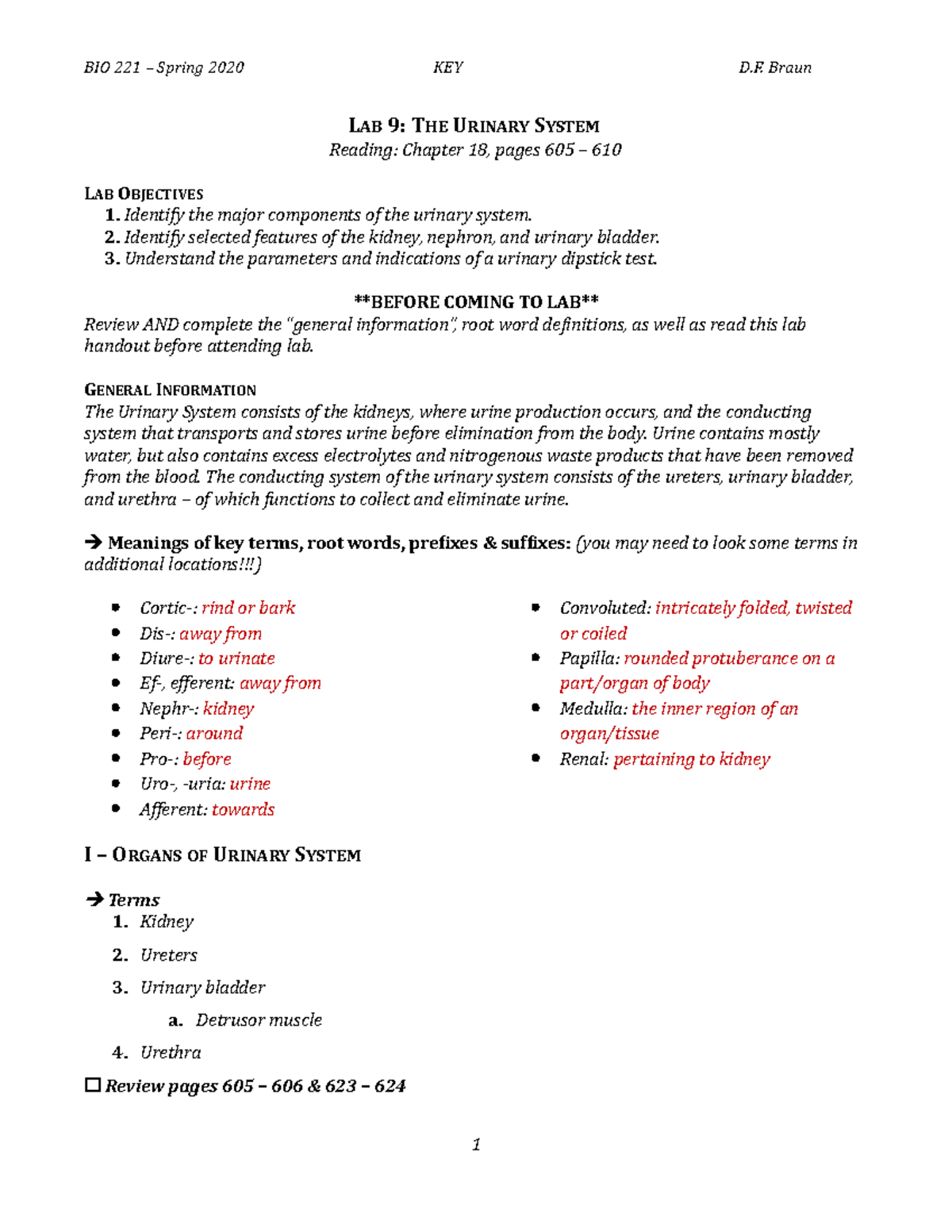 BIO 221 lab 9 - urinary system (Spring 2020)(KEY) - LAB 9: THE URINARY ...