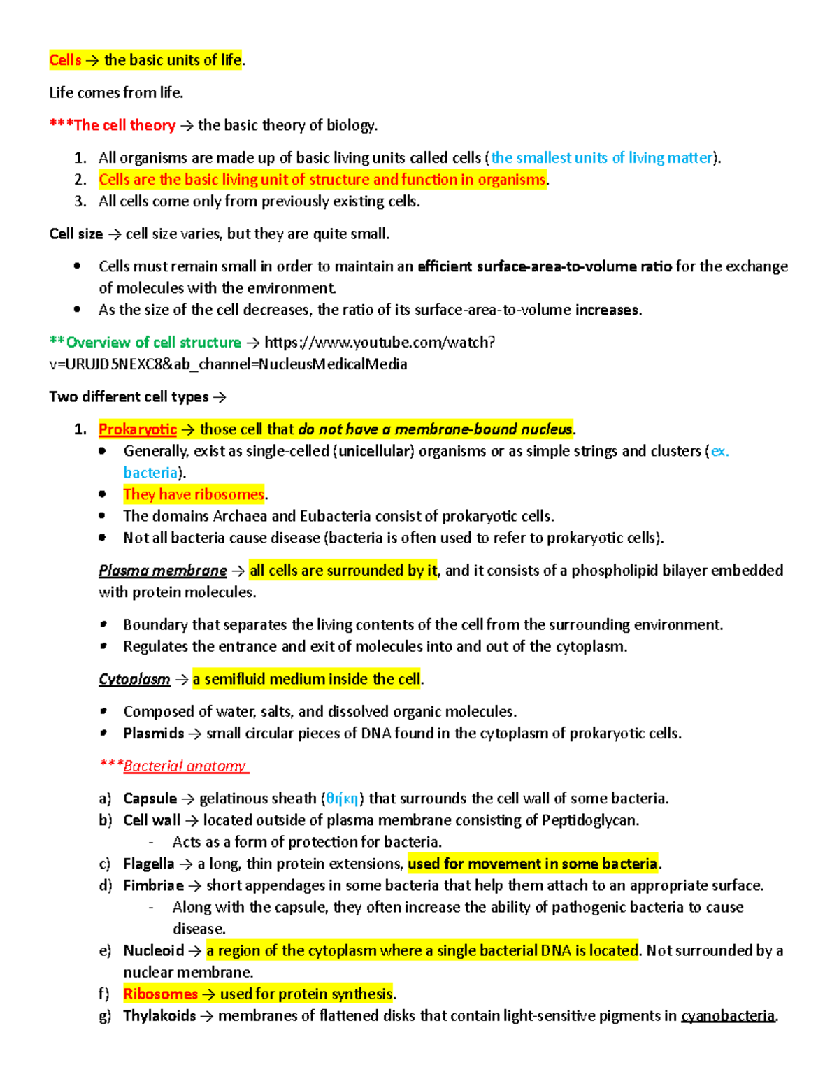 Chapter 3 - Cell Structure and Function - Done - Cells → the basic ...