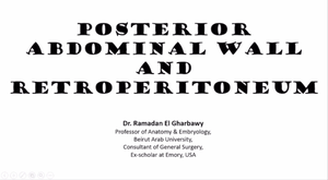 Flank pain map alternative - Lab results and imaging findings Consider ...