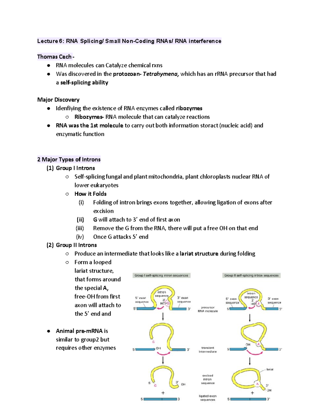 Lecture 6 - Lecture 6: RNA Splicing/ Small Non-Coding RNAs/ RNA ...