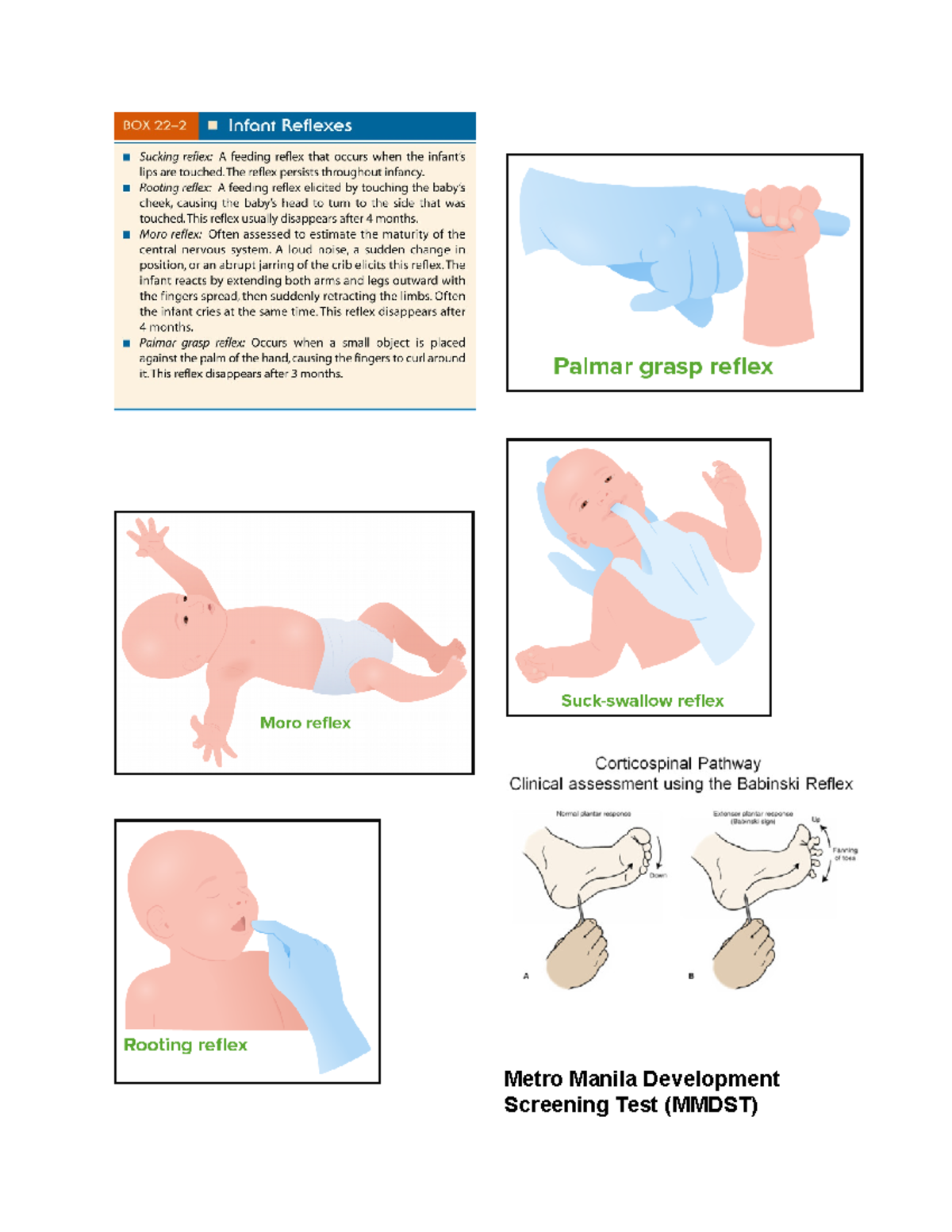 Health Assessment Health History - Metro Manila Development Screening ...