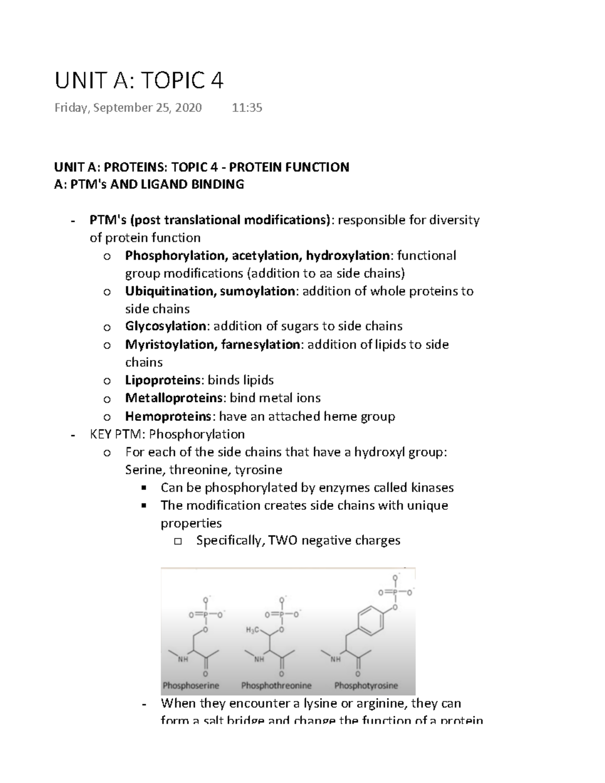 UNIT A Topic 4 - Lecture notes lecture 4 - UNIT A: PROTEINS: TOPIC 4 ...