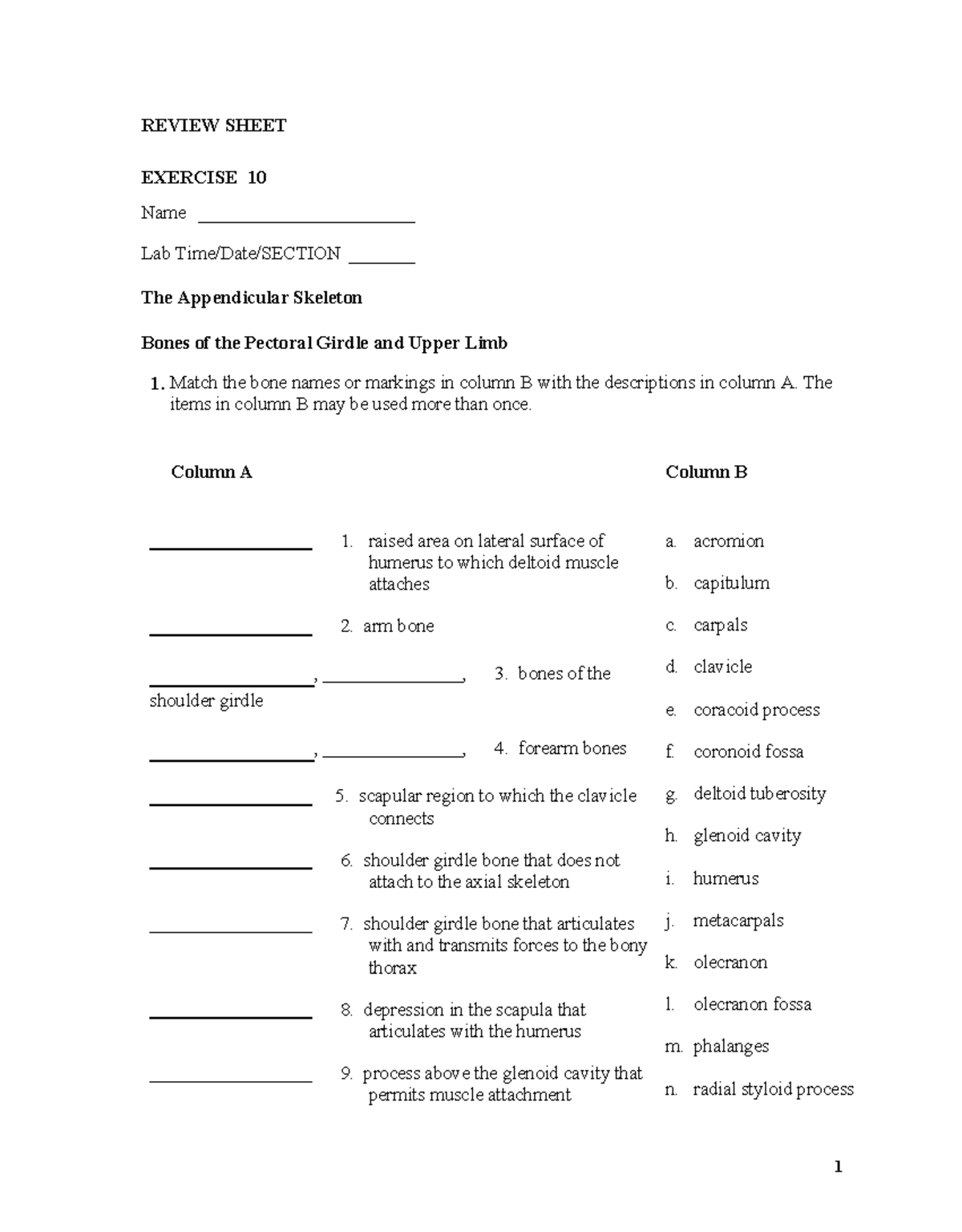 BIO001L 010- Appendicular- Bones - REVIEW SHEET EXERCISE 10 Name ...