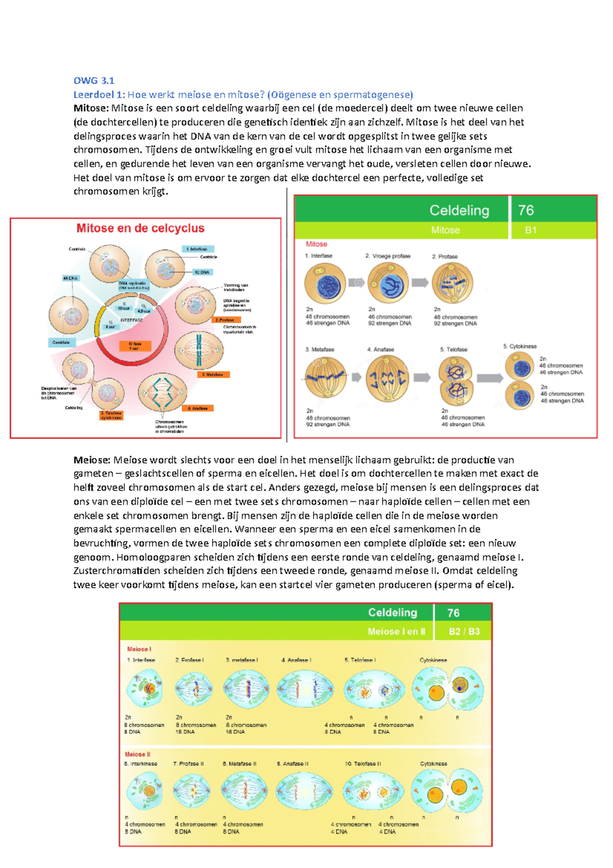 OWG 3.1 bevruchting tm innesteling - OWG 3. Leerdoel 1: Hoe werkt ...