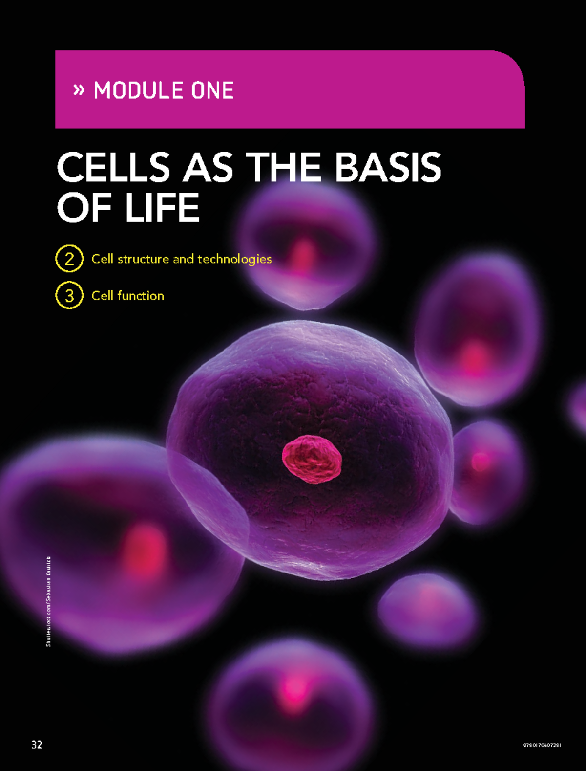Chapter 2 unlocked - Textbook for biology - 32 CELLS AS THE BASIS OF ...