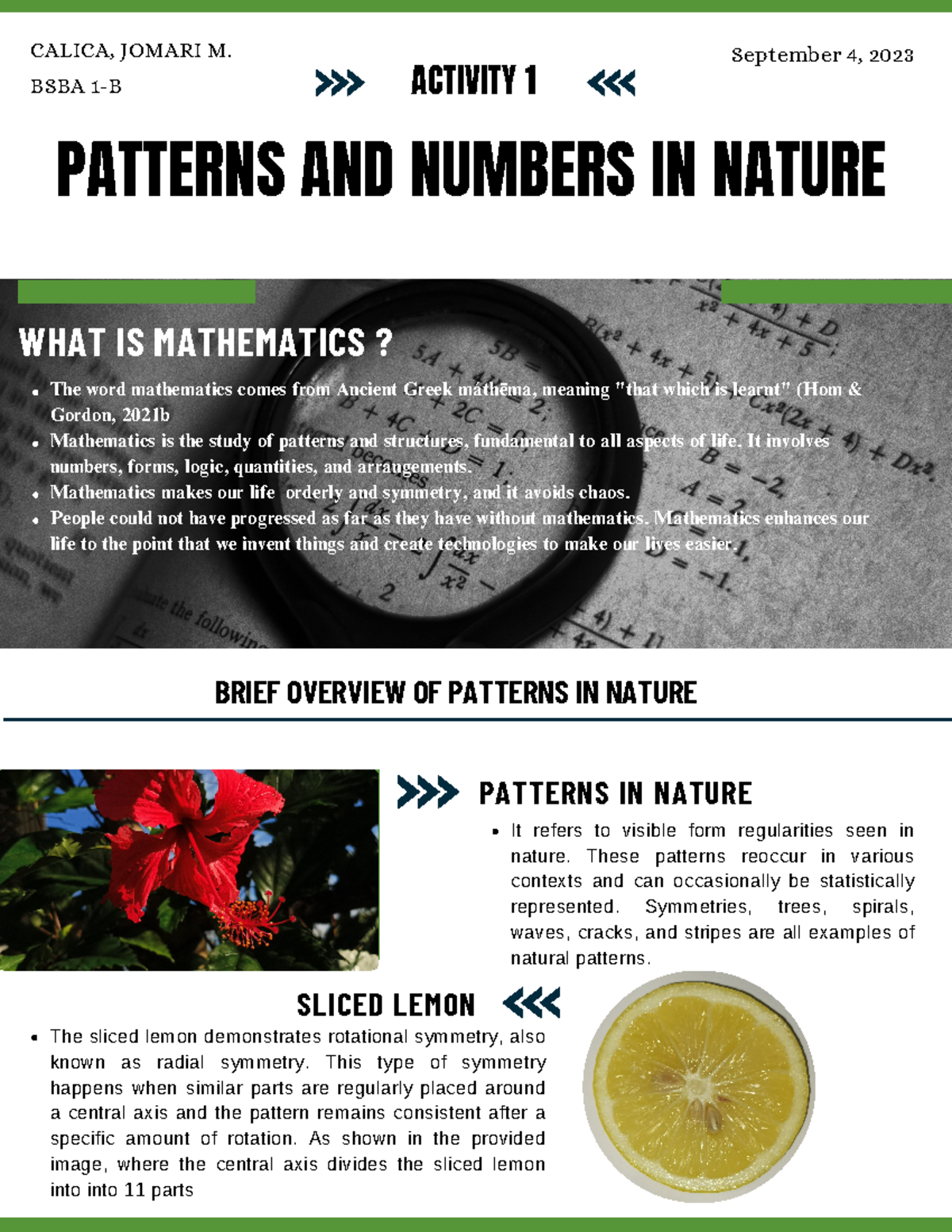 Inbound 3884309549787410302 - ACTIVITY 1 PATTERNS IN NATURE It refers ...