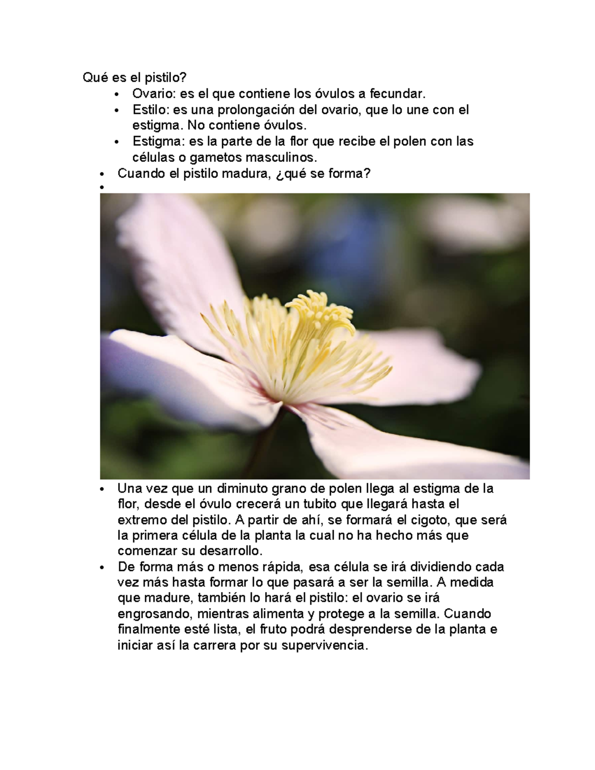 Flor - descripcion flor - Qué es el pistilo? Ovario: es el que contiene ...