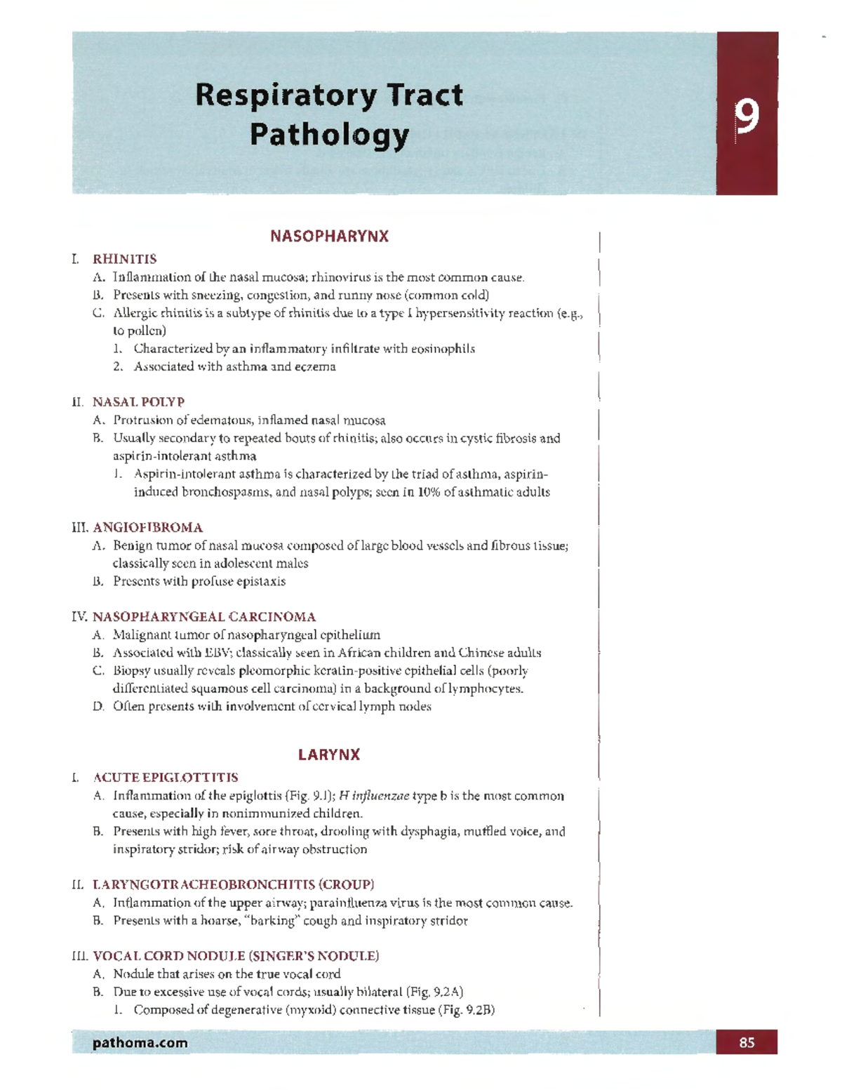 Respiratory Pathology - I. RHINITIS Respiratory Tract Pathology ...