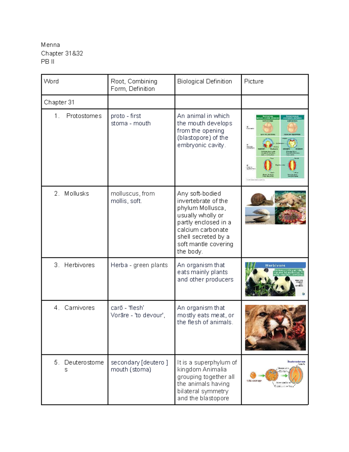 Chapter 31 32 - Word: Root, Combining Form, Definition Biological ...