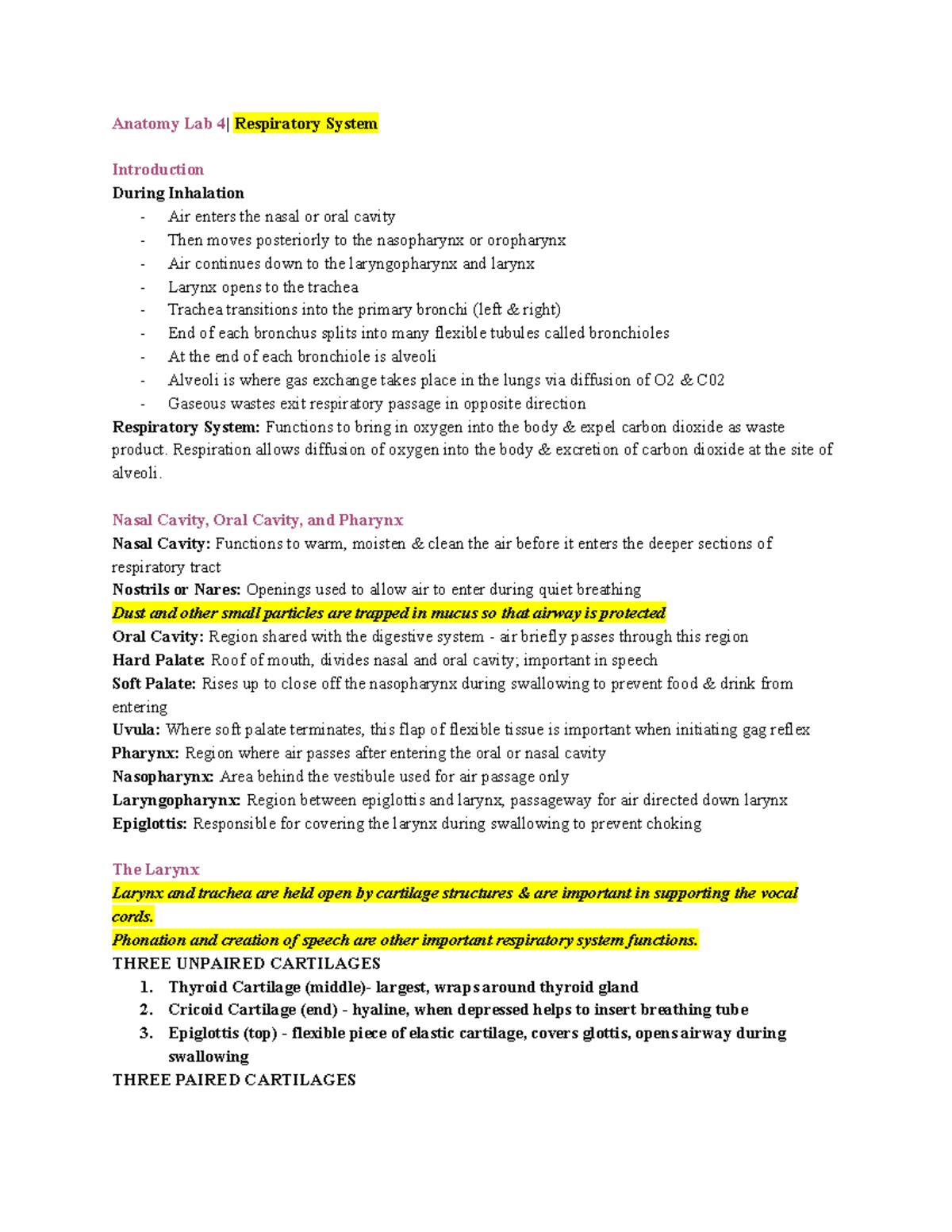 Respiratory Systems - Anatomy Lab 4| Respiratory System Introduction ...