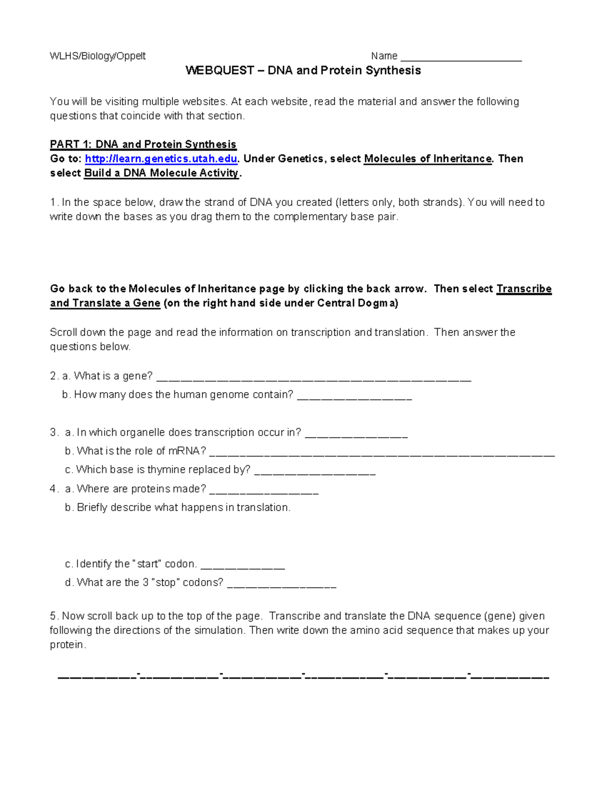 Webquest - DNA and Protein Synthesis (12) - WLHS/Biology/Oppelt Name