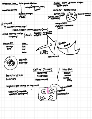 Physio Ex Exercise 4 Activity 1 - PhysioEx Lab Report Exercise 4 ...
