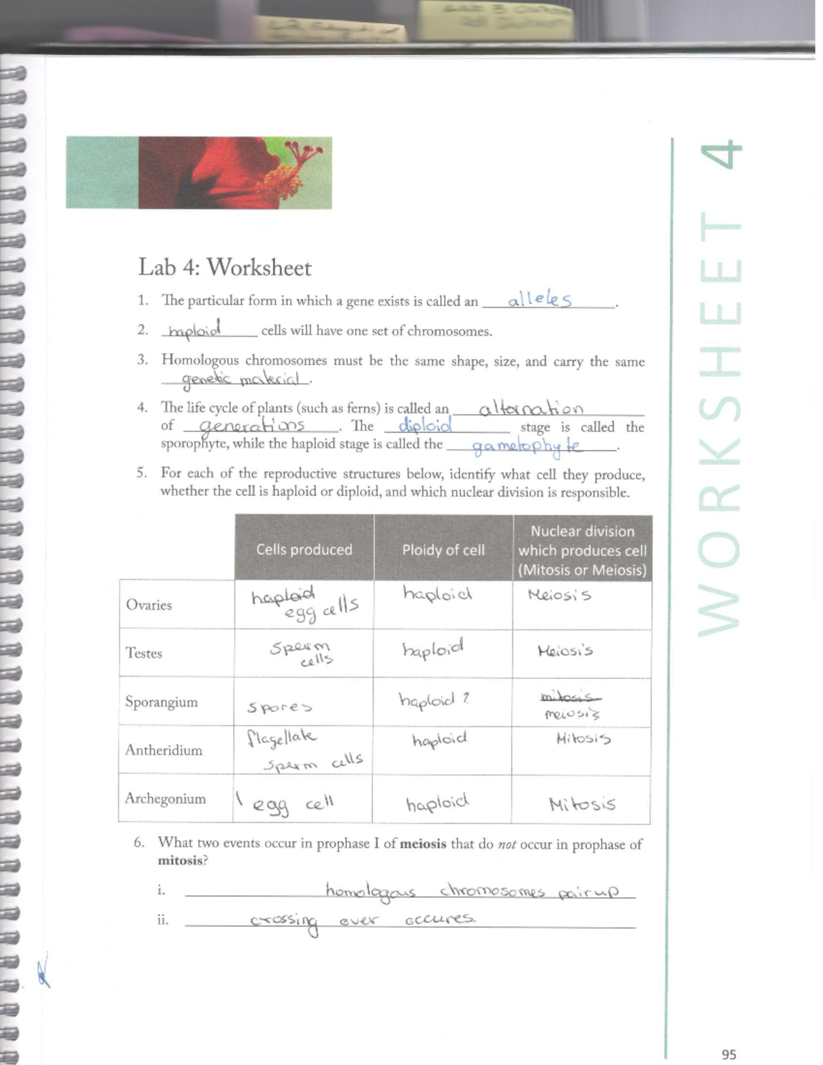Scan lab 4 1 - lab 4 RO Sheet - Bio152 - Studocu