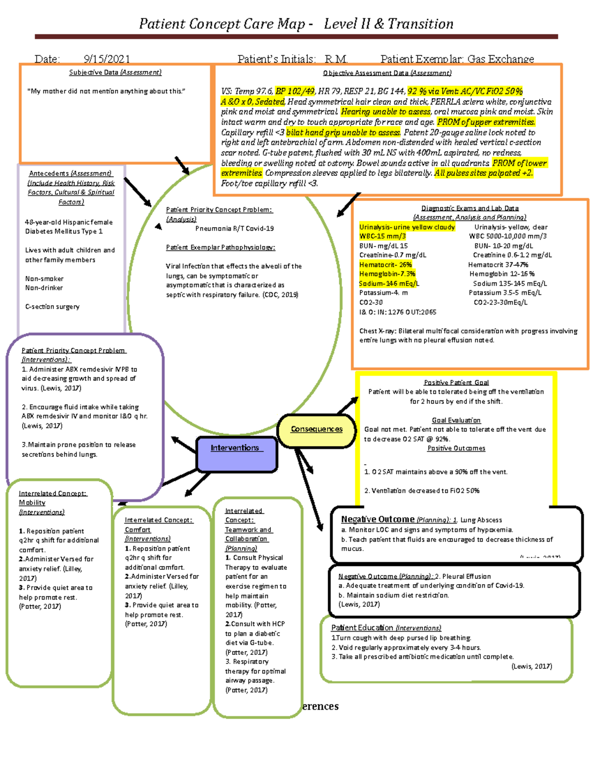 Level+III+Patient+Concept+Care+Map+Gas+Exchange - Patient Concept Care ...