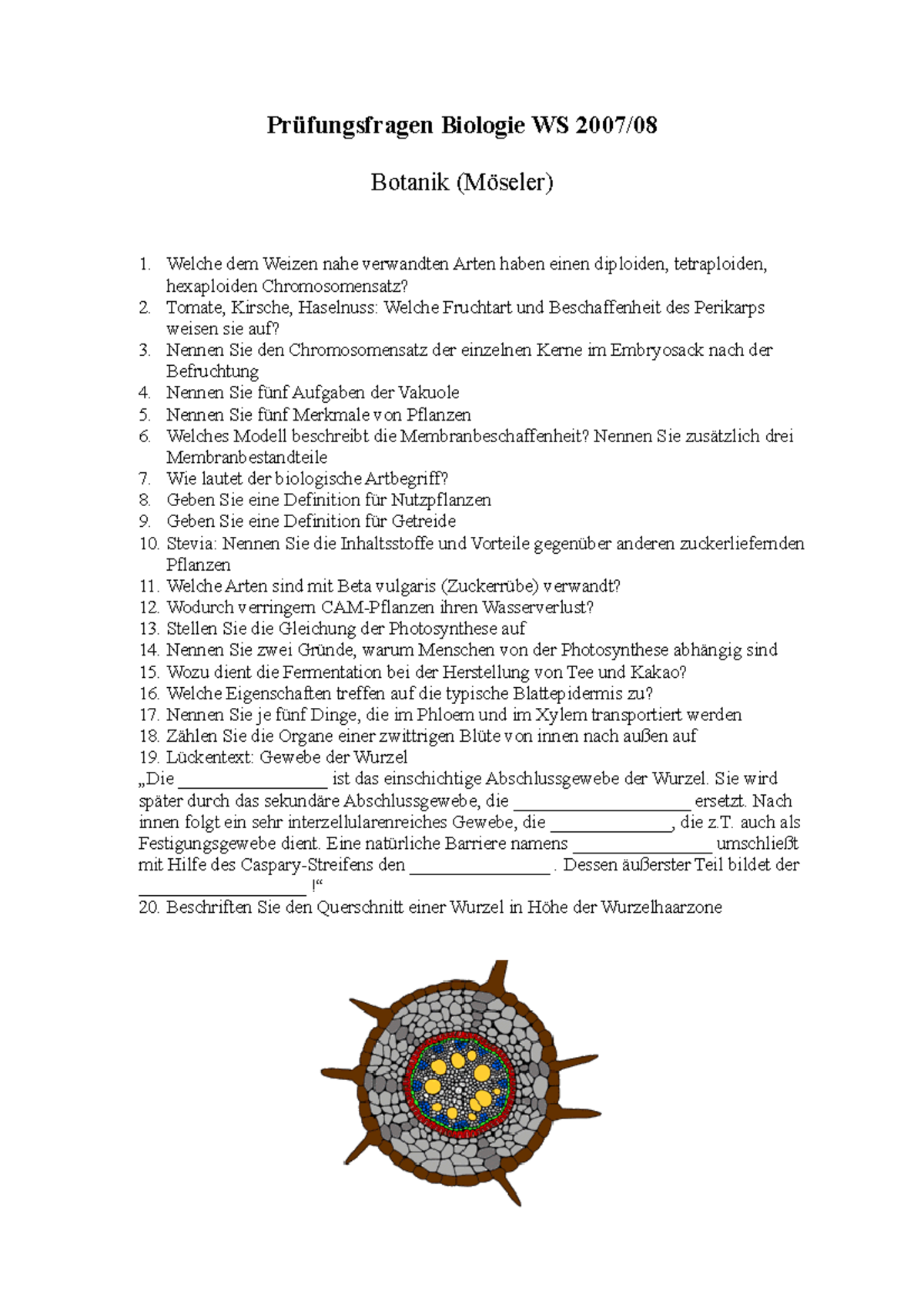 Botanik Fragen WS 2007-08 - Prüfungsfragen Biologie WS 2007/ Botanik ...