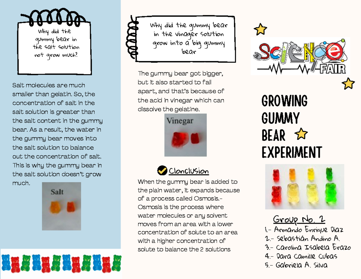 Brochure Gummy Bear Experiment - Why did the gummy bear in the salt ...