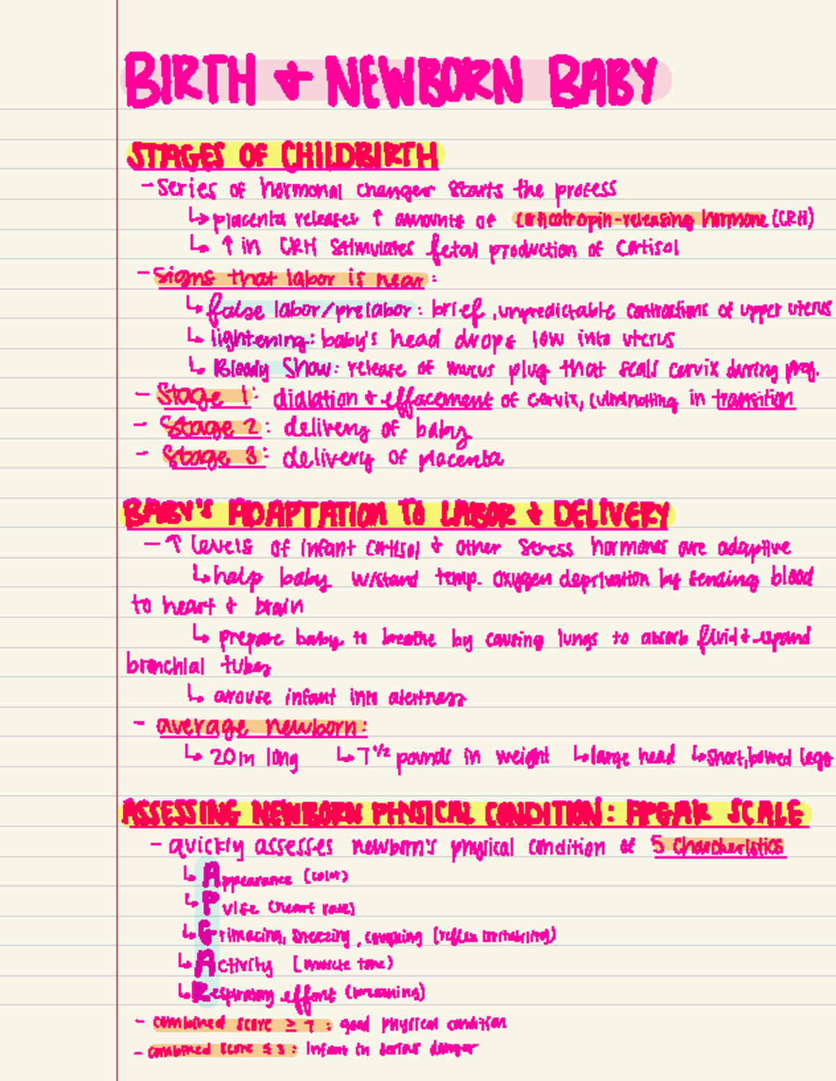 Chap 4 Birth and Newborn - BIRTH & NEWBORN BABY STAGES OF CHILDBIRTH ...