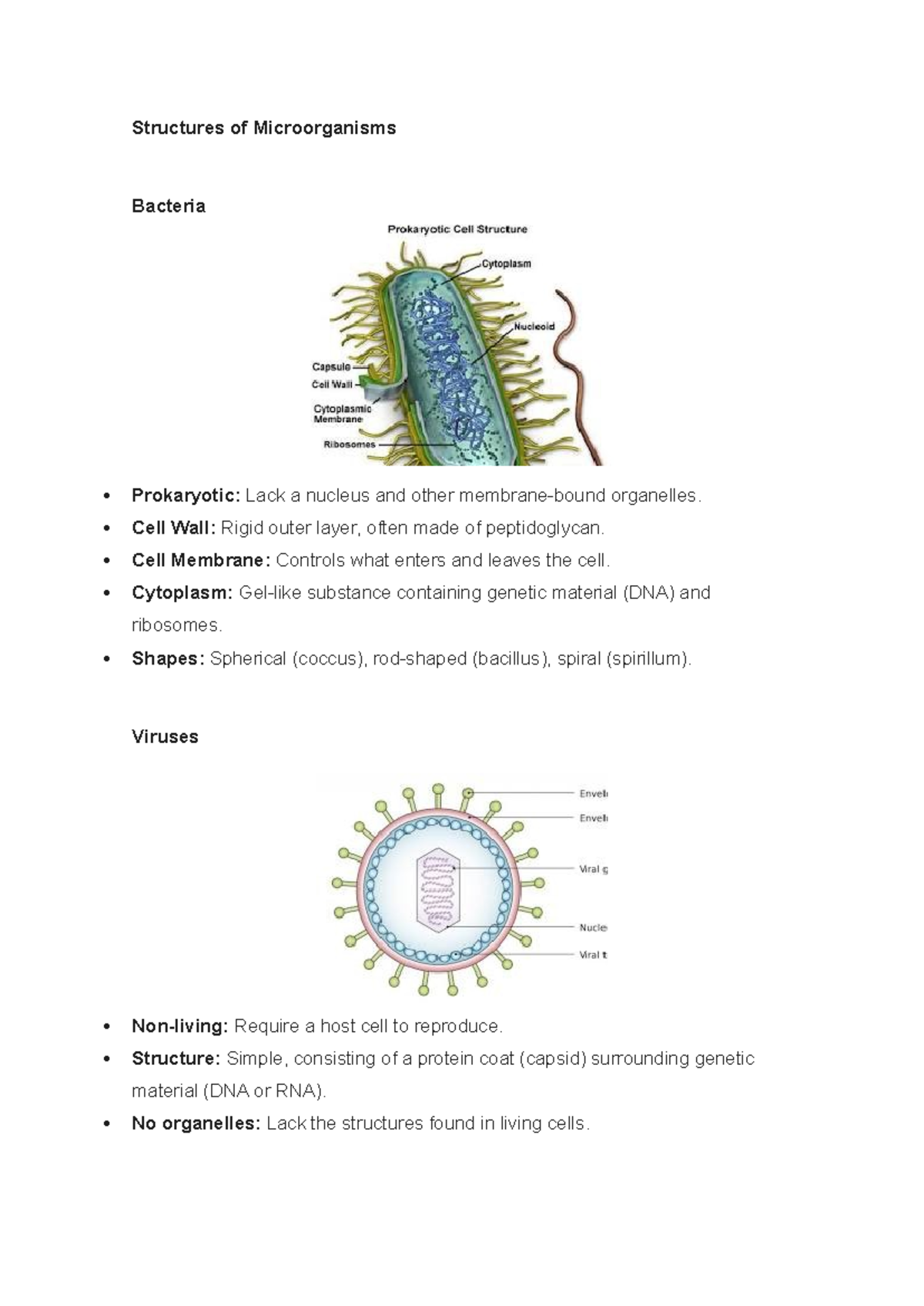 UNIT 3 WEEK 2 - Tarea de Science Jorada 2024 - 2025 - Structures of ...