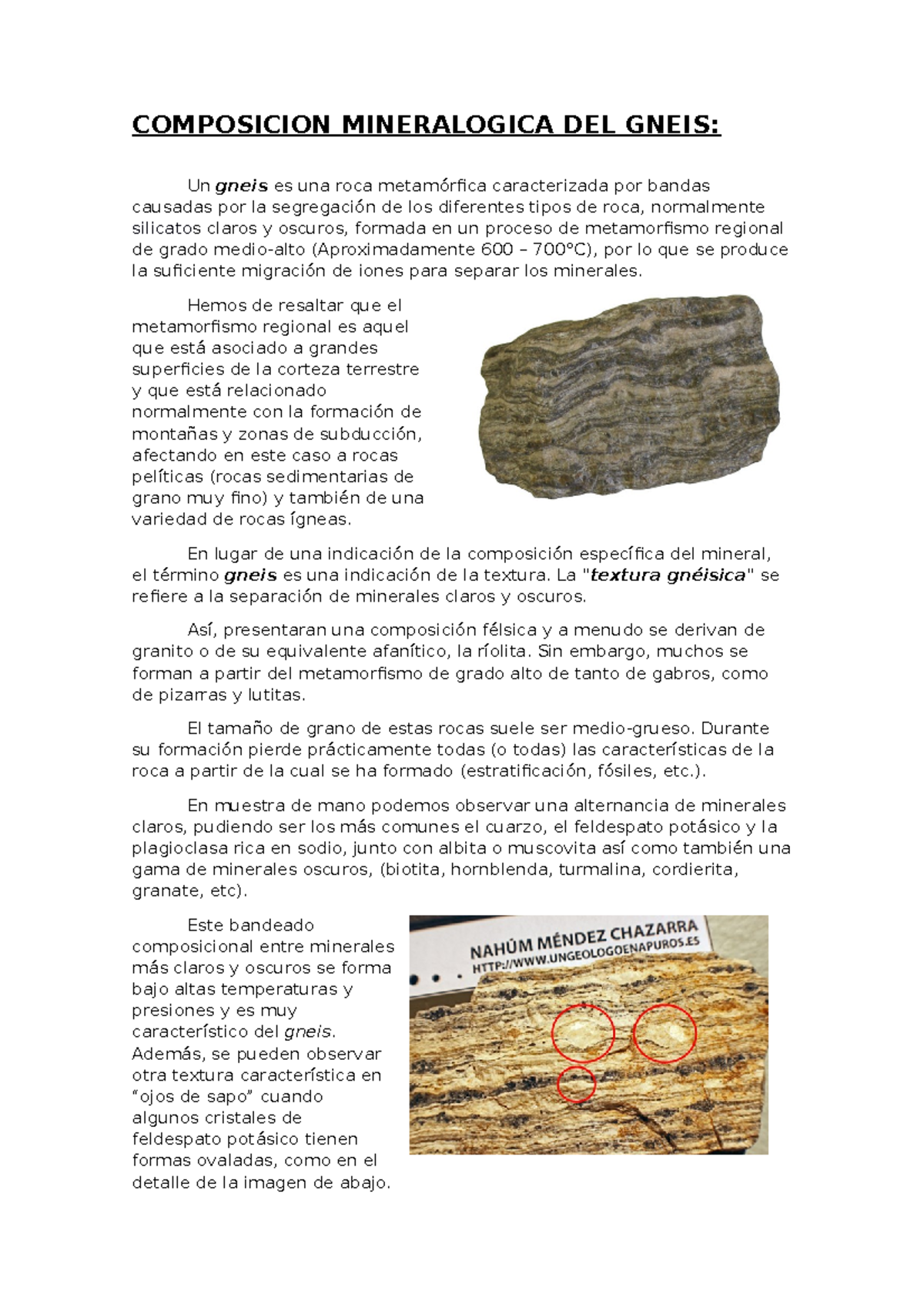 Composicion Mineralogica del Gneis - COMPOSICION MINERALOGICA DEL GNEIS ...