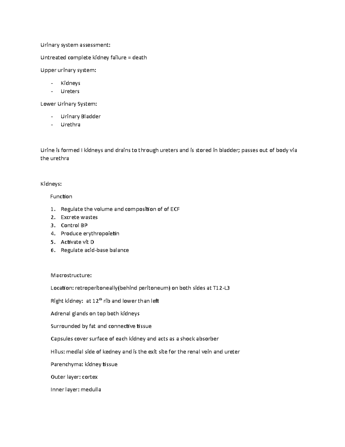 Urinary System Assessment: Kidney Function Structure and Blood Supply ...
