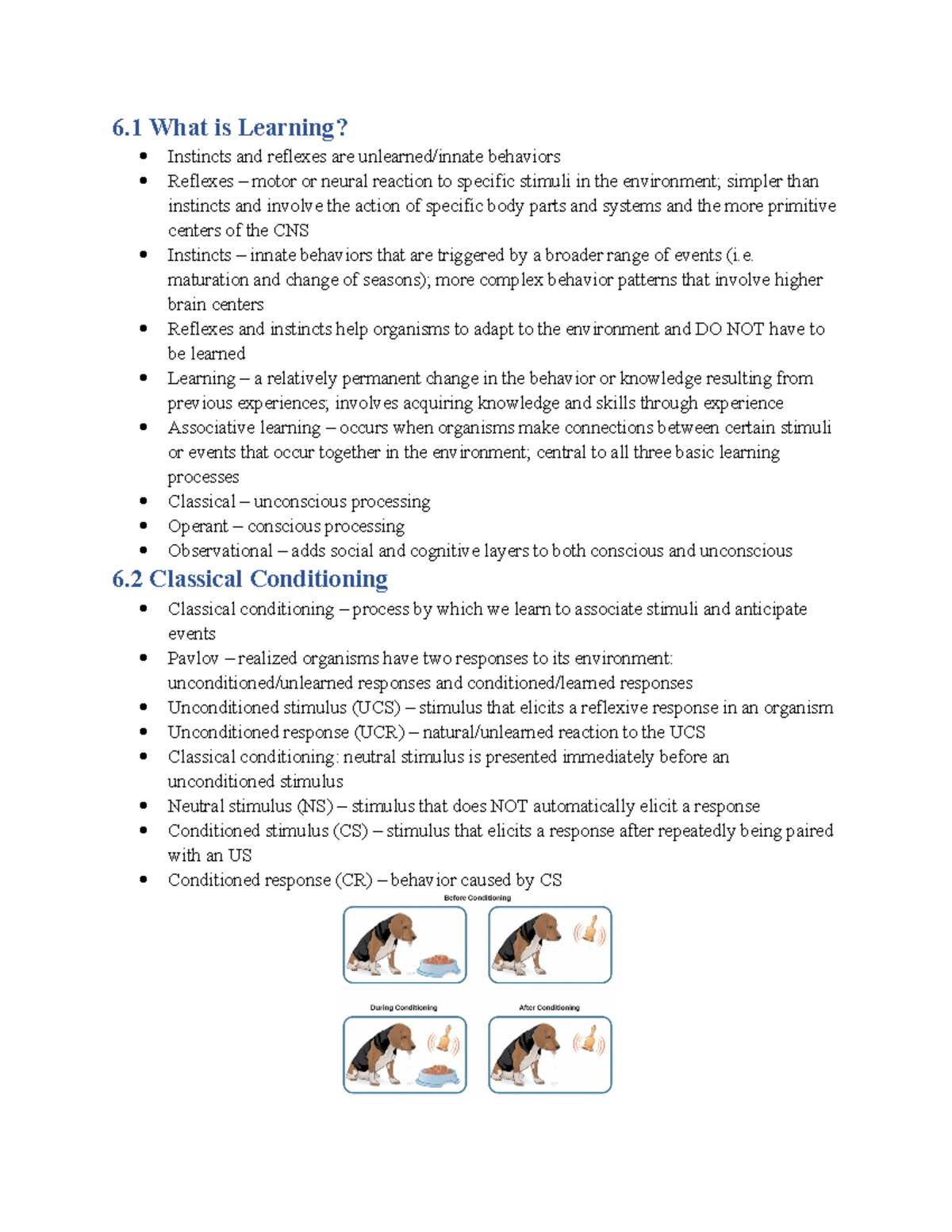 Chapter 6 Notes - Learning - 6 What is Learning? Instincts and reflexes ...