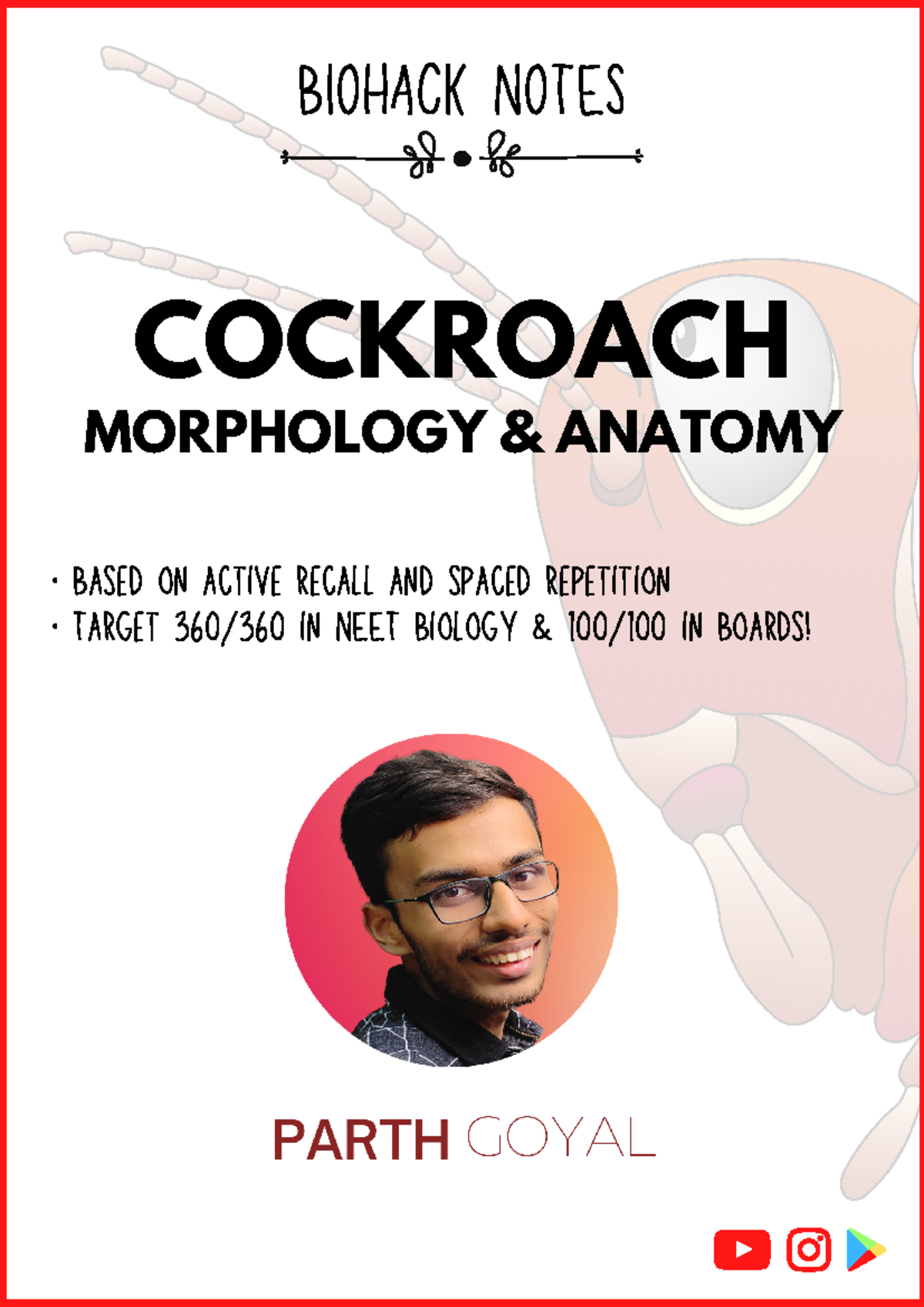 Cockroach Bio Hack - Awesome - BIOHACK NOTES COCKROACH MORPHOLOGY ...