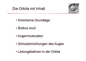 Atemmechanik -0, kPa Grund für negativen Druck: o Lunge besitzt gewisse ...