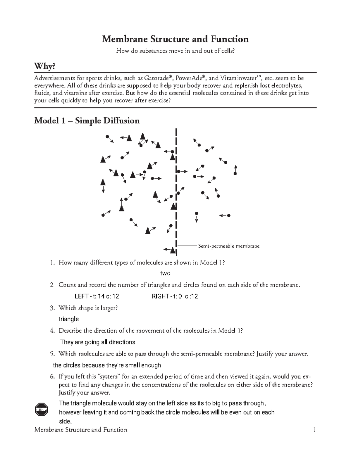 Kami Export - Ariel Flores - Membrane Structure and Function-S ...