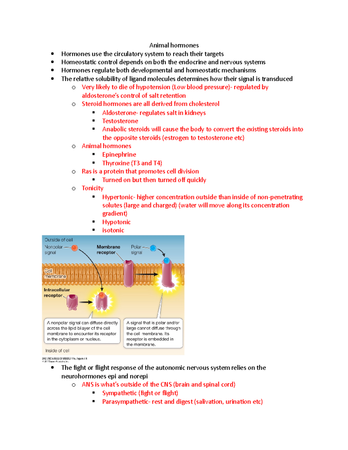 Animal hormones - Professor was Laurel Roberts. - Animal hormones ...