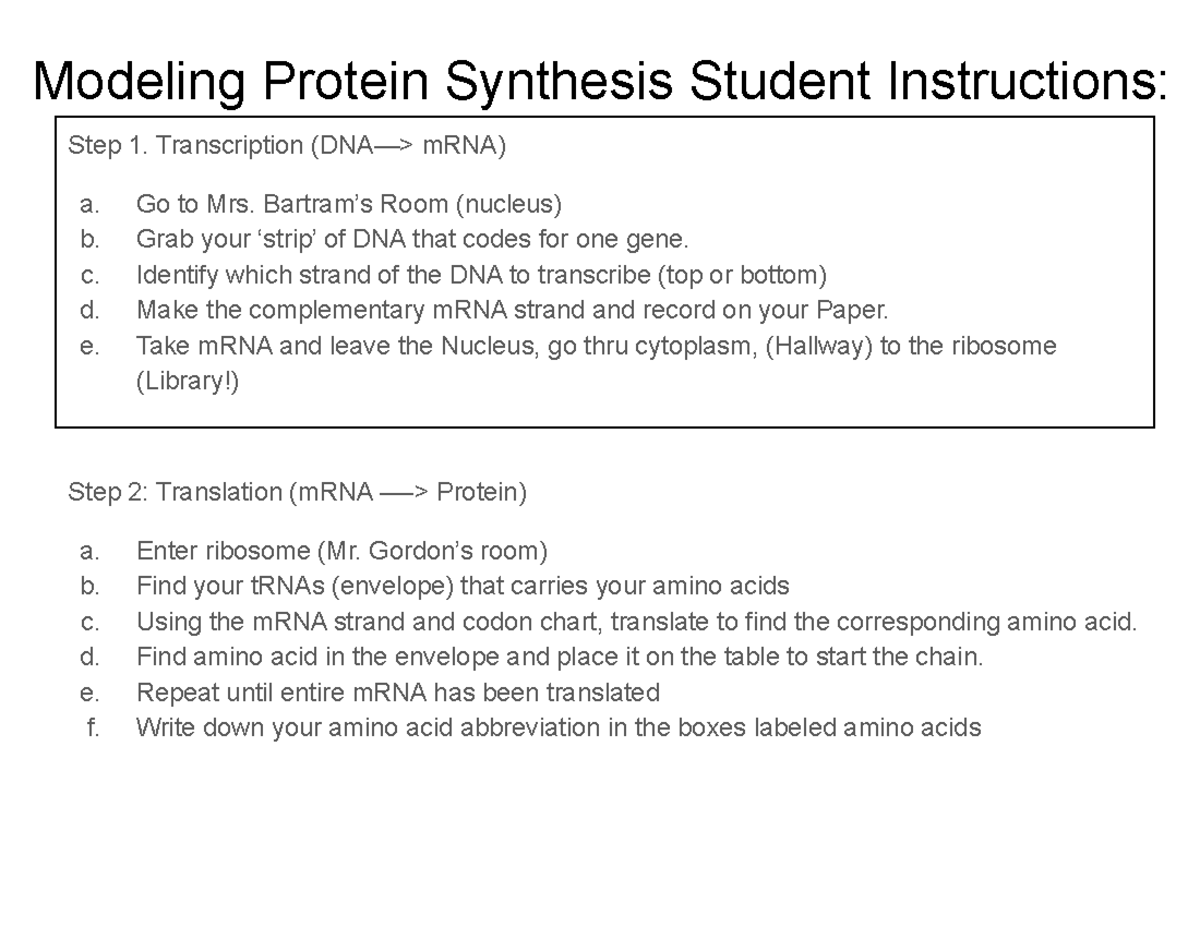Act out Protein Synthesis (Bartram Gordon) - Modeling Protein Synthesis ...