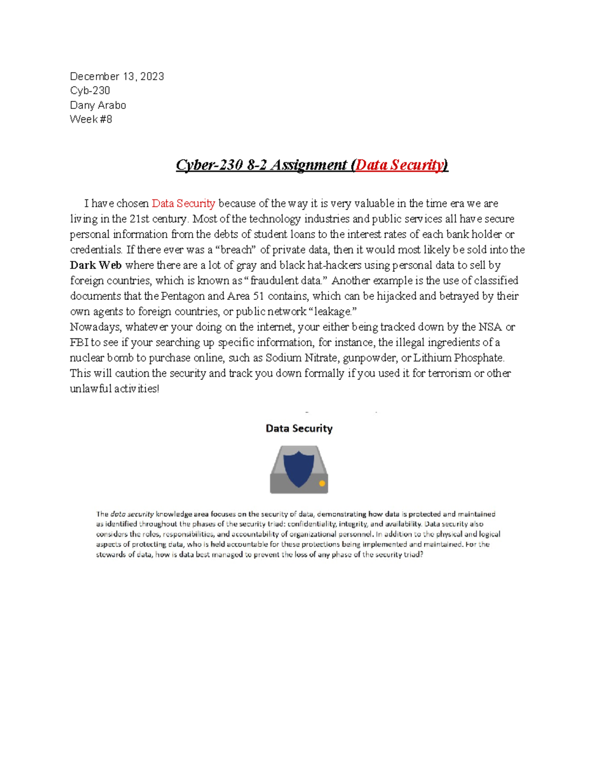 8-2 Cyber Play Book - December 13, 2023 Cyb- Dany Arabo Week Cyber-230 ...