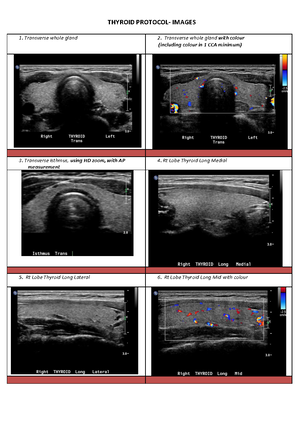 Week 1 Superficial Structures in Ultrasound - Superficial Structures in ...