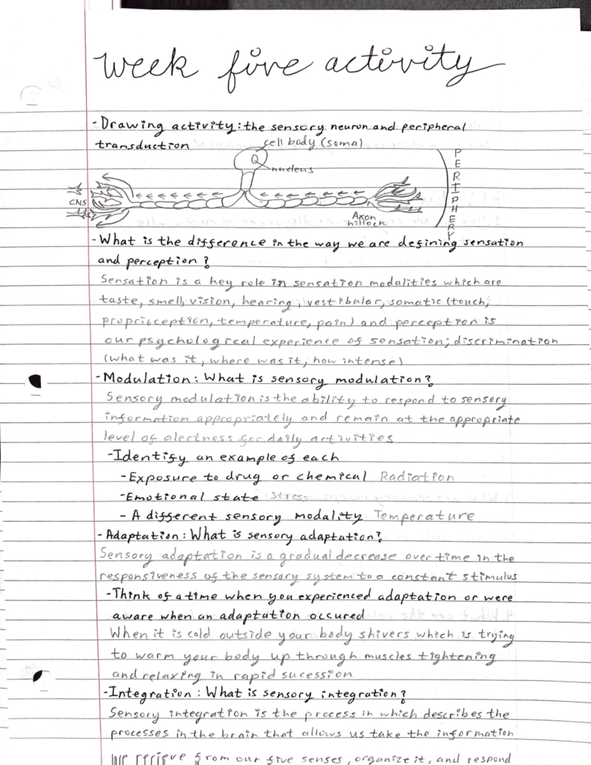 Activity five - Ethan Block - BIO209 - Studocu