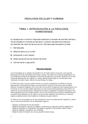 [Solved] el cono axonico es la parte de la neurona que posee la mayor ...