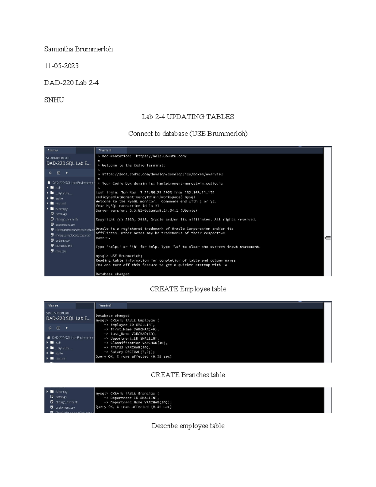 DAD-220 module 2-4 lab - DAD-220 - Samantha Brummerloh 11-05- DAD-220 Lab 2- SNHU Lab 2-4 ...