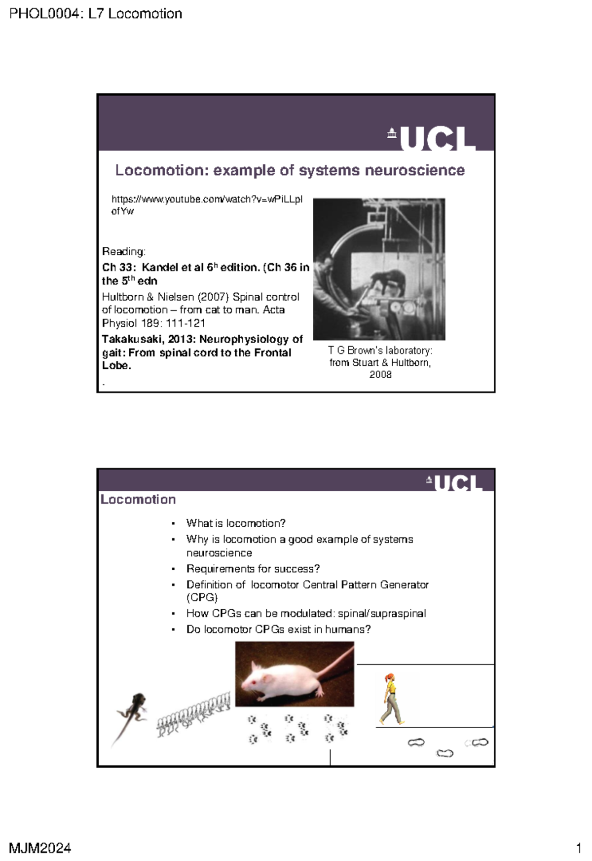 L7 Locomotion 2024 HOUT - Locomotion: example of systems neuroscience ...