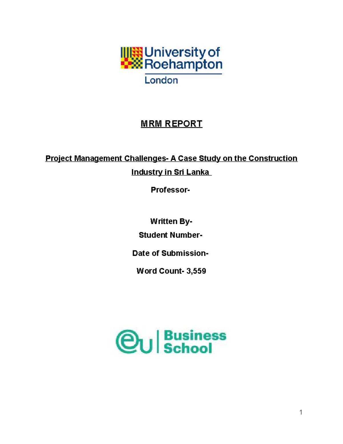 MRM 1 - A literature review - MRM REPORT Project Management Challenges ...