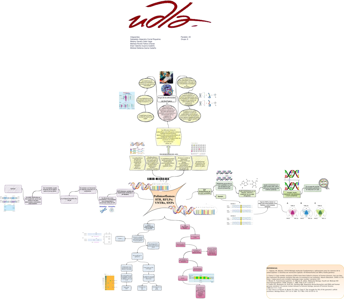 Polimorfimos STR, RFLPs; VNTRs, SNPs Optimizar - Polimorfismos STR ...